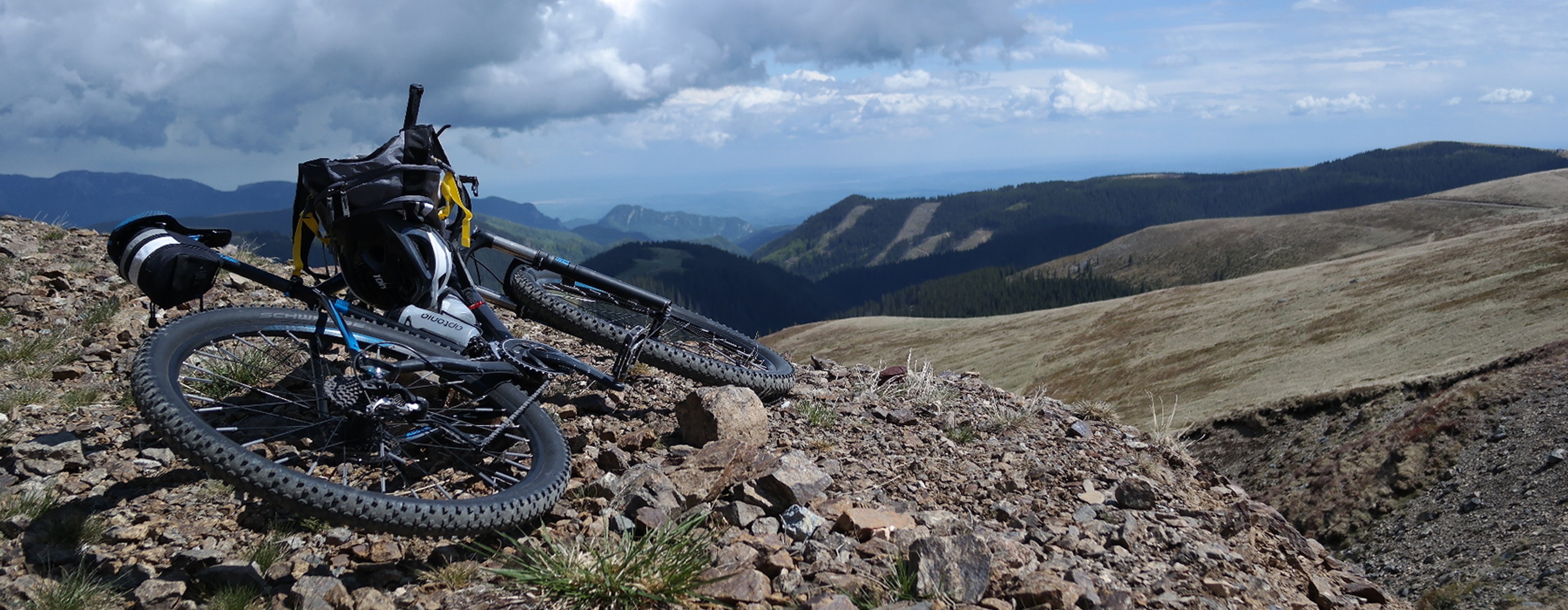 Wild Sport - Feel the energy of nature